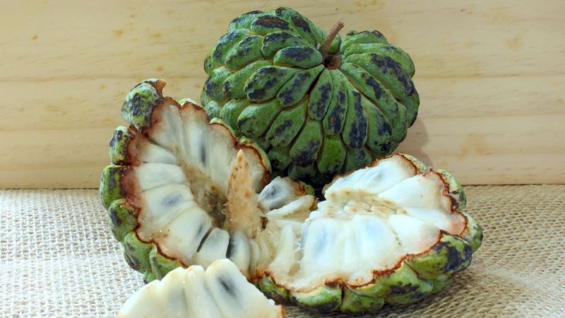 É tempo de ata: conheça os benefícios da fruta para a saúde - Portal É ...
