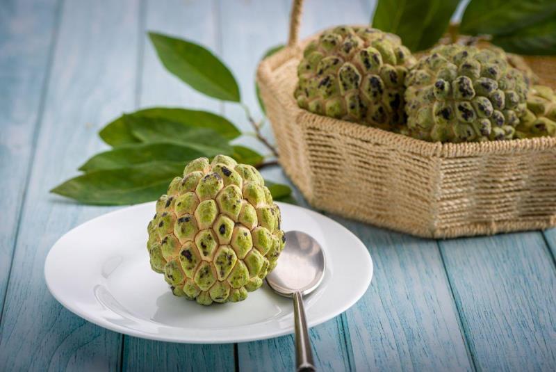 É tempo de ata: conheça os benefícios da fruta para a saúde - Portal É ...